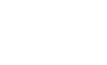 Orientique Australia – Chille